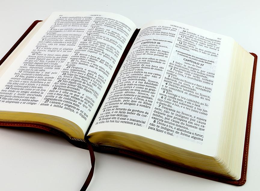 Sociedade Bíblica Trinitariana do Brasil